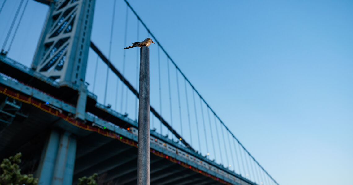 Water Marks: A Moment Without You