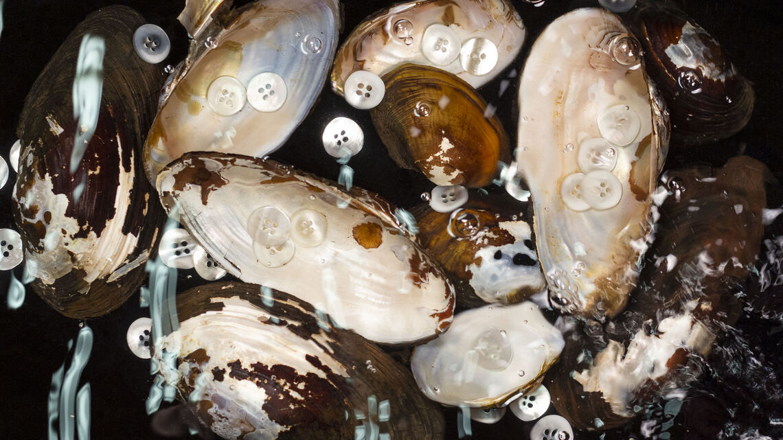 Philadelphia Contemporary | Art Anywhere